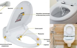 How to use a bidet correctly. Pictures and videos